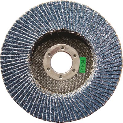 Flap disc